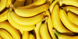 Allt om bananer – Topnews